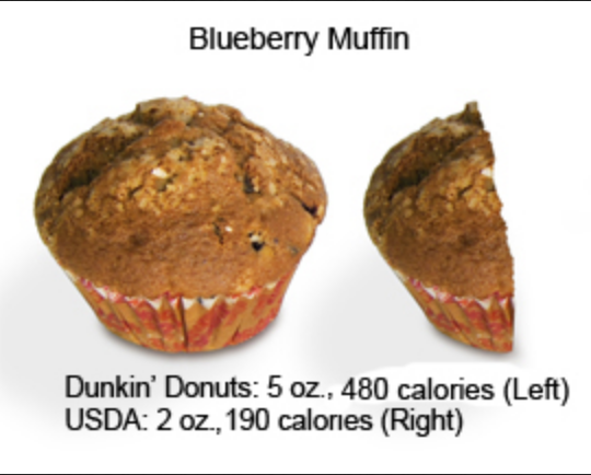 Portion Distortion | wellnessrounds